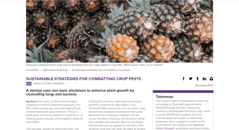 Spring Wise - ClearLeaf